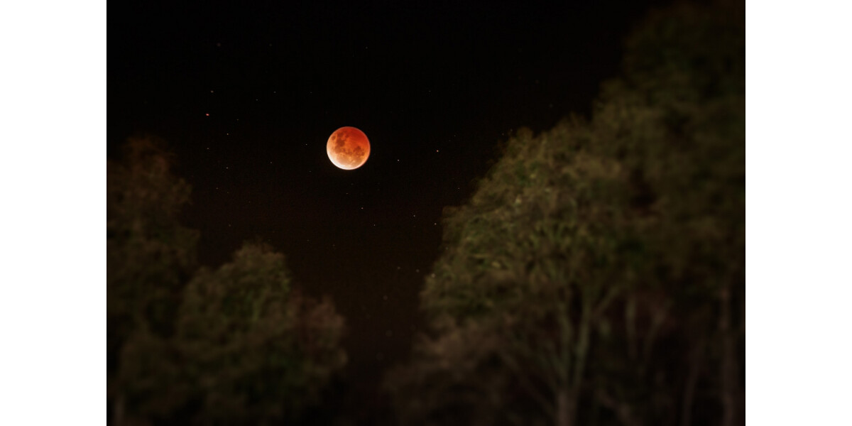 Total lunar eclipse looking over the trees at Nunweek Park