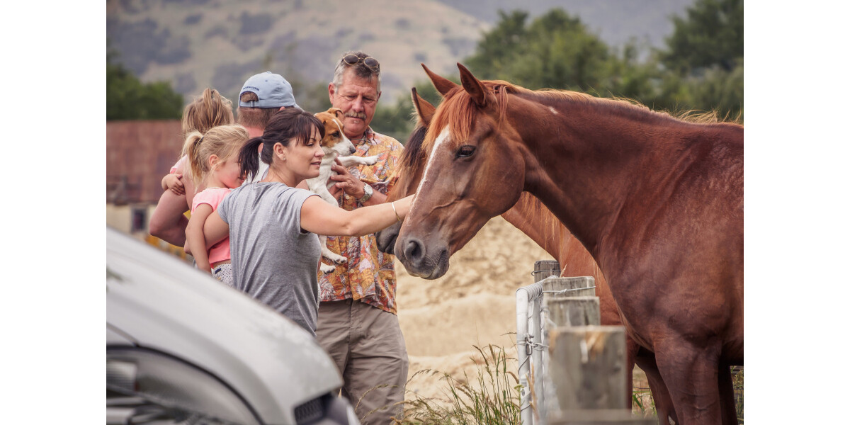 A family has a friendly encounter with horses at Little River