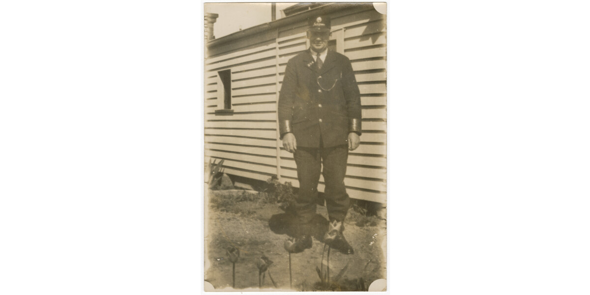 Bertie Sutton | discoverywall.nz