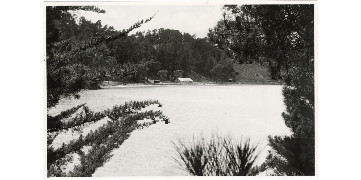 Quail Island beach | discoverywall.nz
