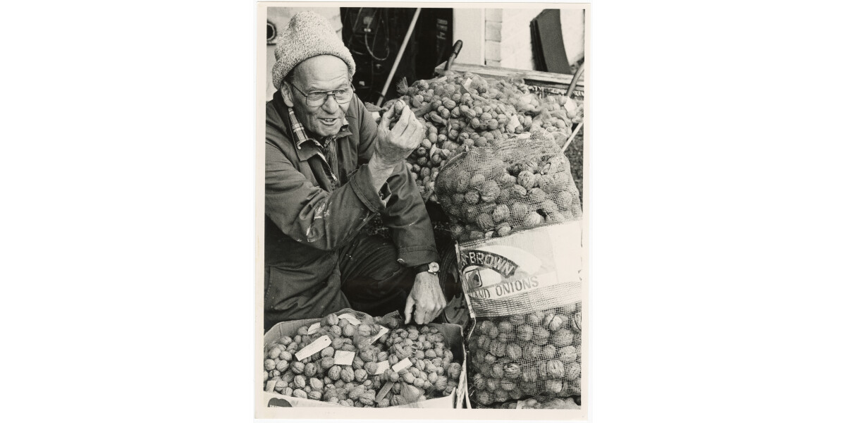 Walnut farmer | discoverywall.nz