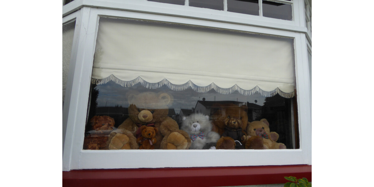Teddy bears in a window | discoverywall.nz