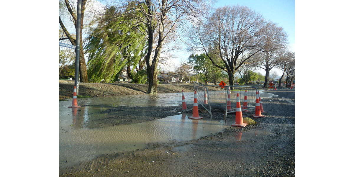 Spring in the Residential Red Zone | discoverywall.nz