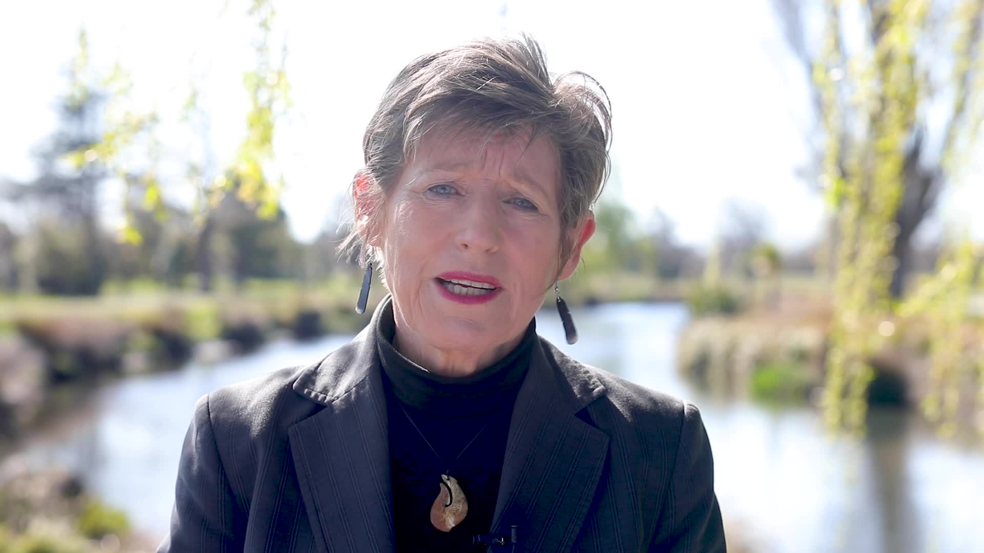 Mayoral Earthquake message | discoverywall.nz