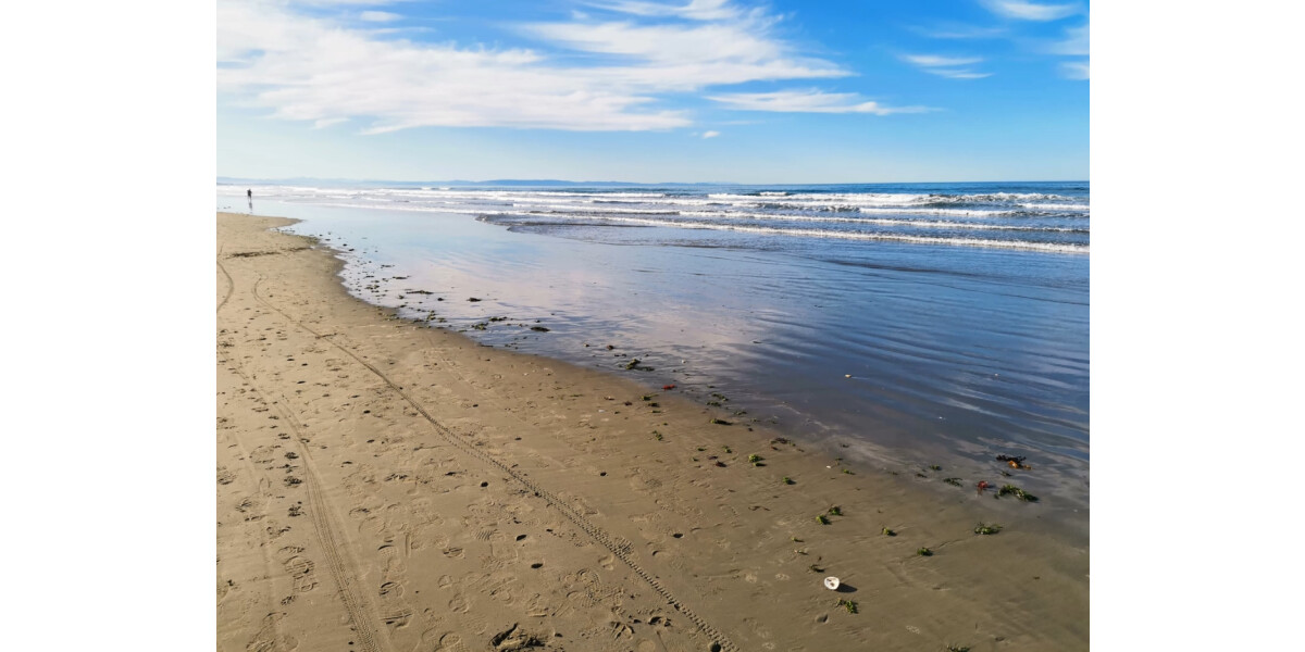 Footprints and tide marks | discoverywall.nz