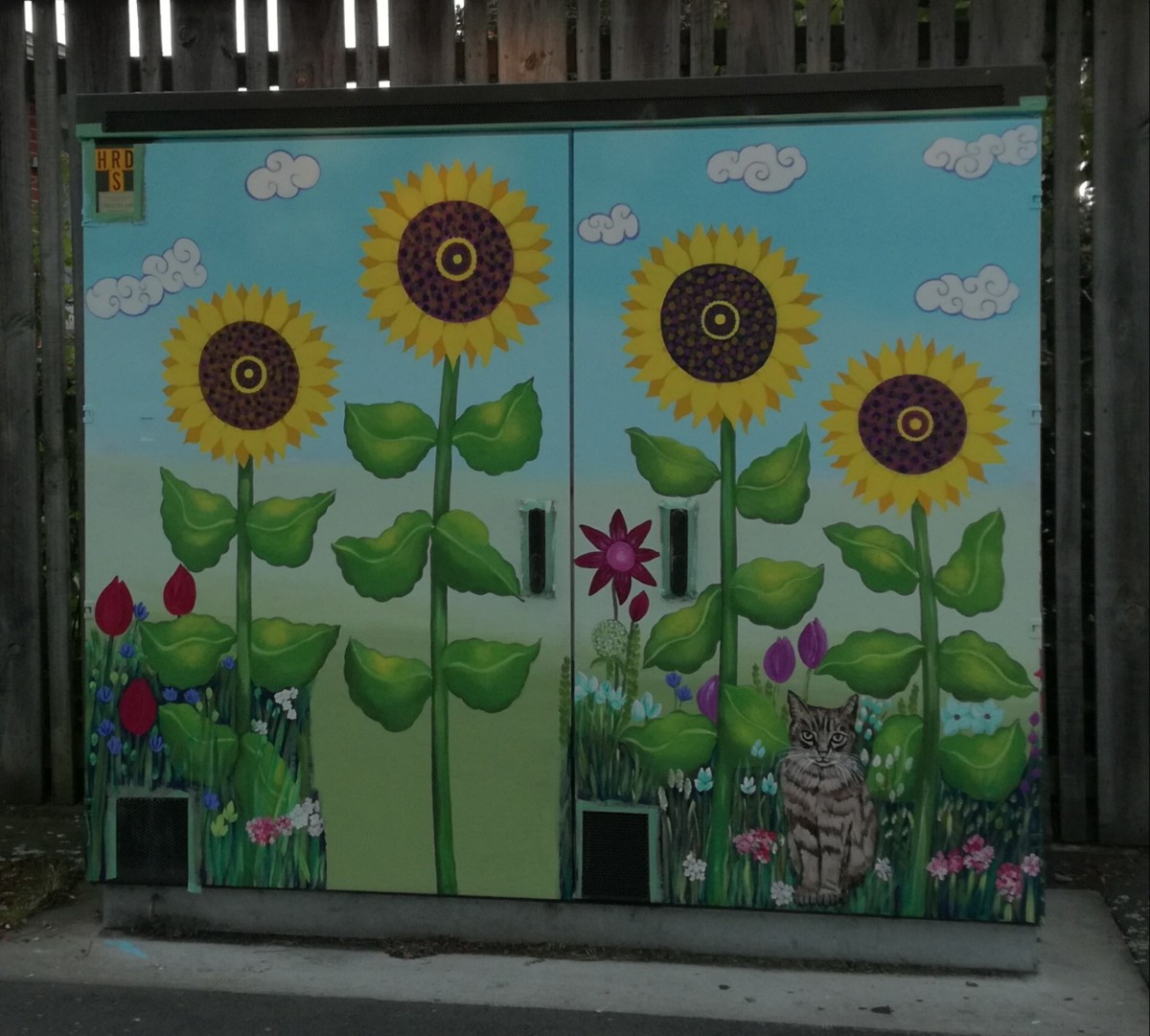 Sunflower Chorus Box | discoverywall.nz