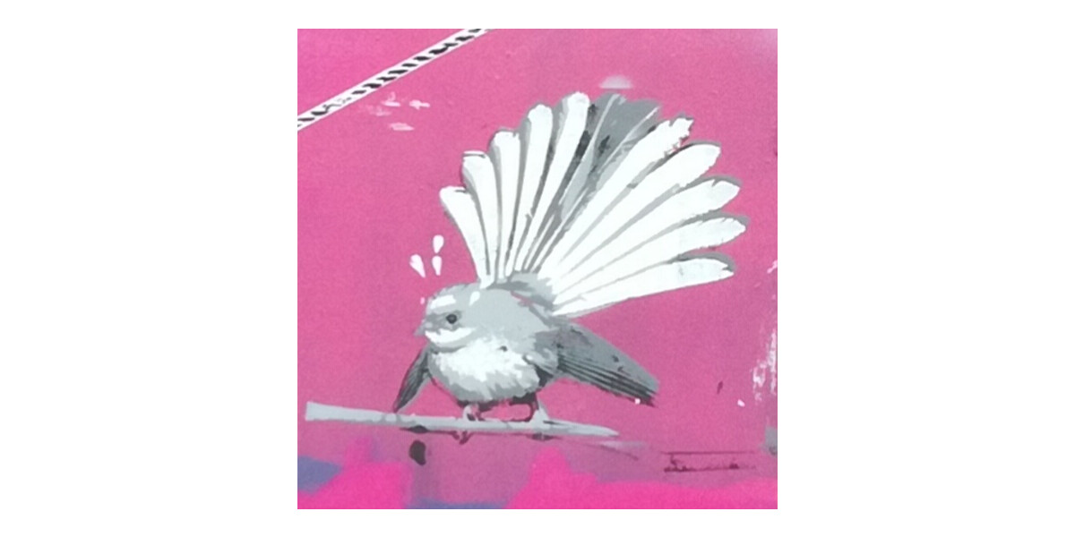 Fantail on Chorus Box | discoverywall.nz