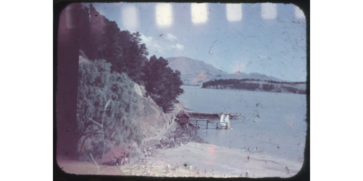 Beach in Picton | discoverywall.nz
