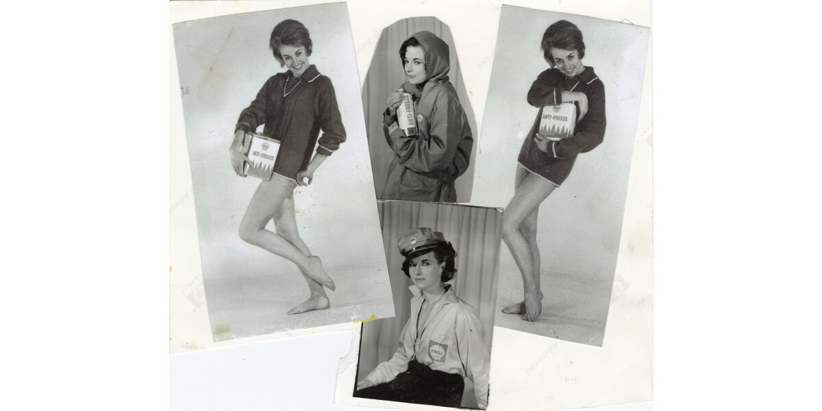 Shell Girls | discoverywall.nz