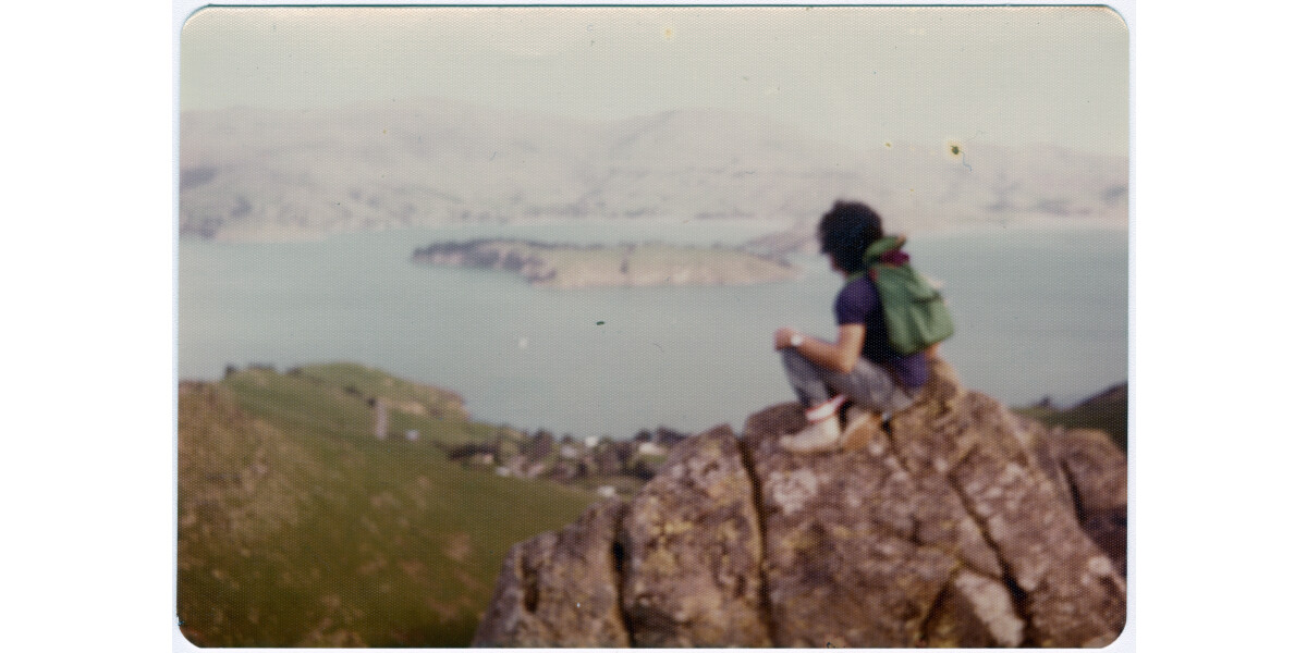 At the top of the Port Hills | discoverywall.nz