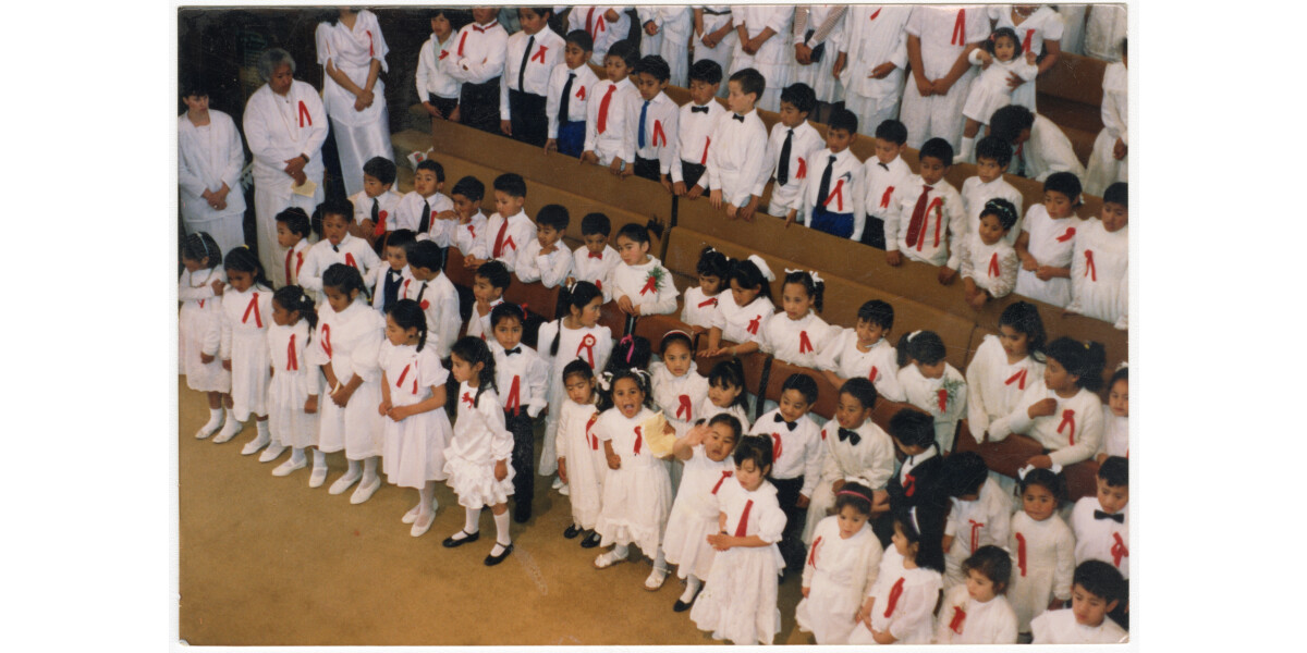 White Sunday | discoverywall.nz