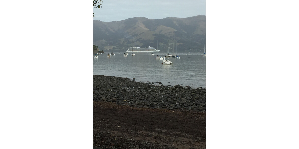 Cruise ship in Akaroa | discoverywall.nz