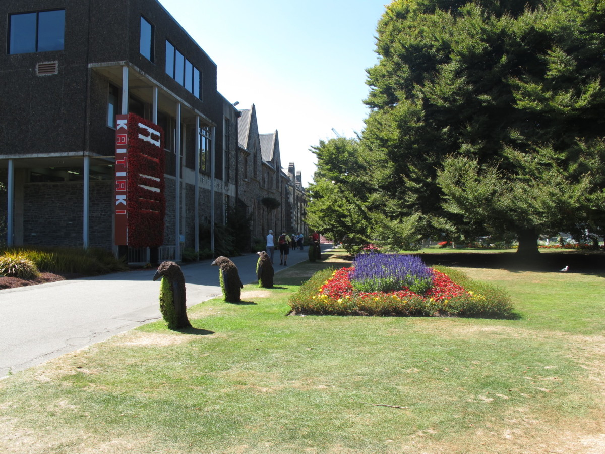 Kaitiaki ‘The Keeper’ | discoverywall.nz