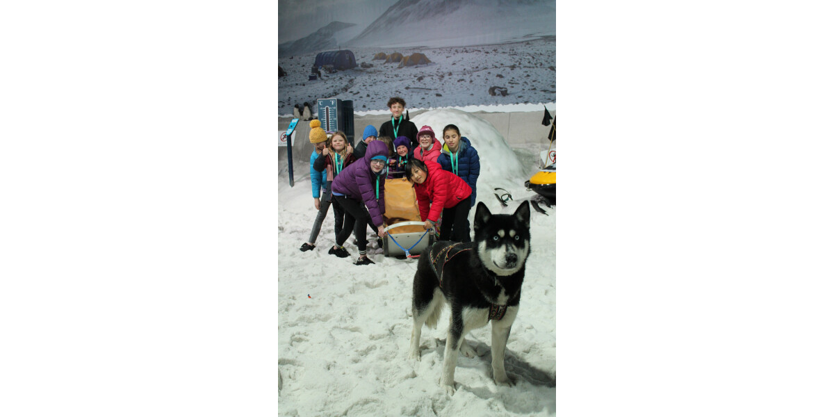 Husky Heroes programme | discoverywall.nz