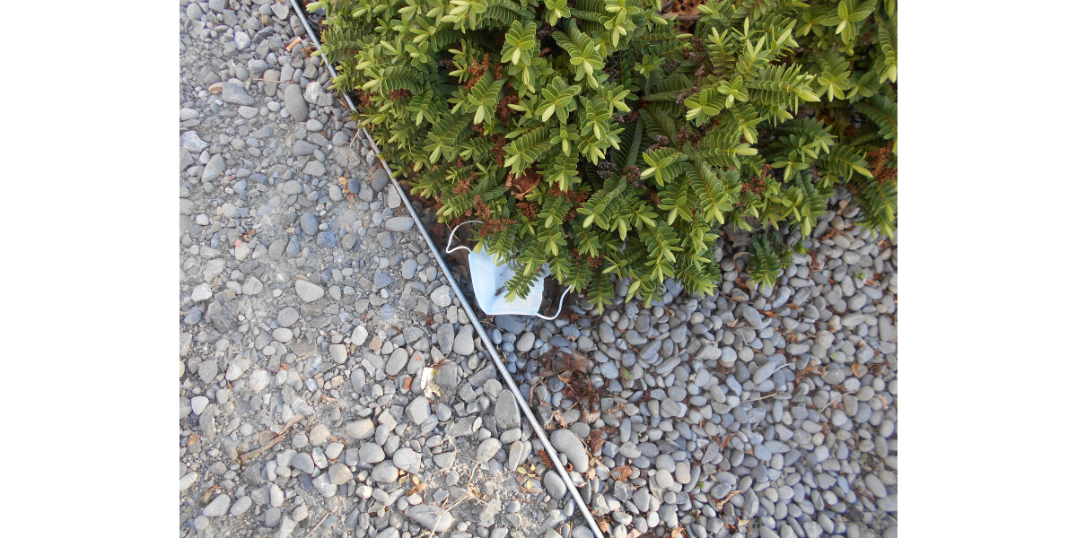 Covid litter | discoverywall.nz