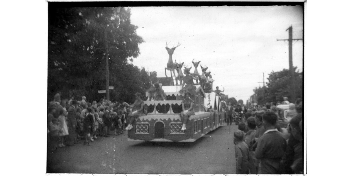 Reindeer float | discoverywall.nz
