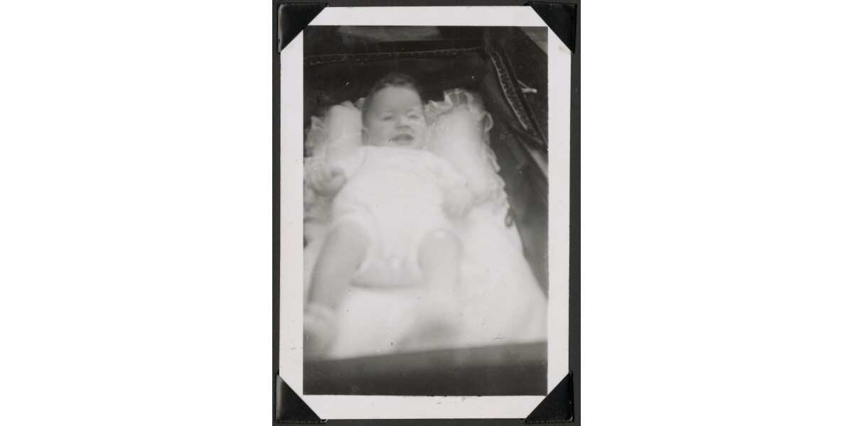 Gavin | discoverywall.nz