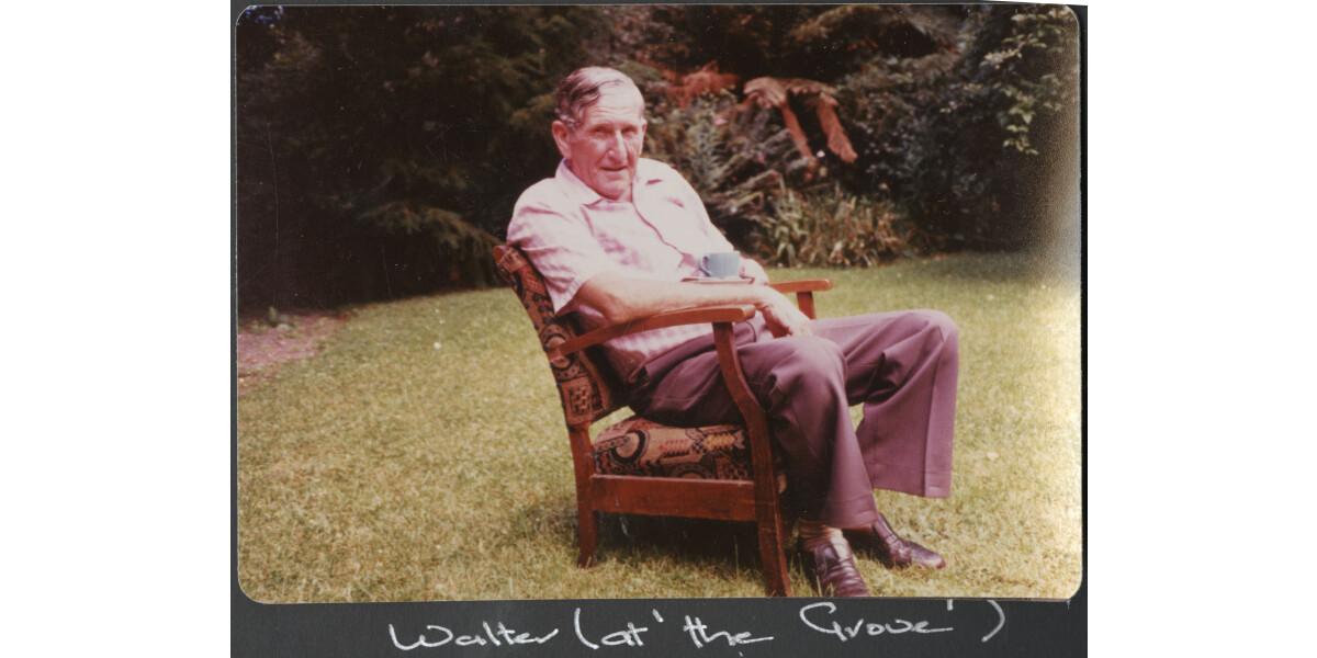 Walter at the Grove | discoverywall.nz