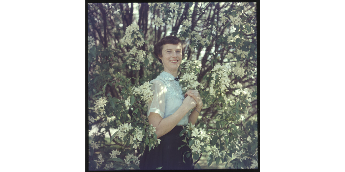 Marion Morris | discoverywall.nz