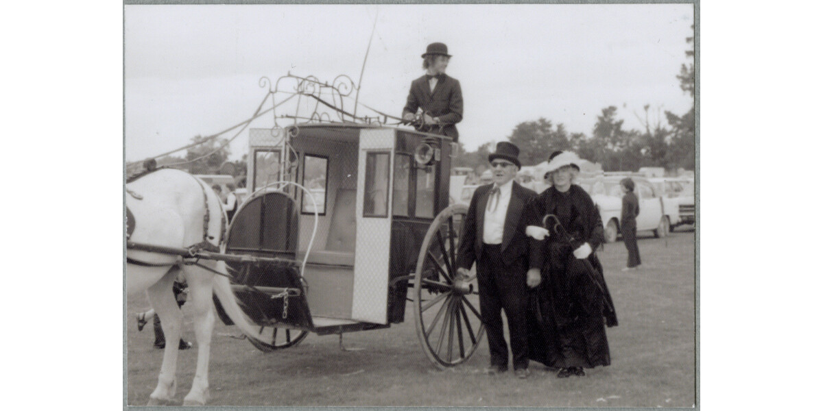 Alford Forest Centennial | discoverywall.nz