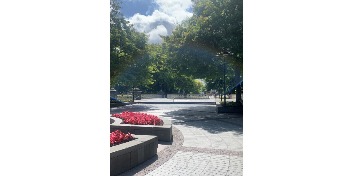 Hamish Hay Bridge | discoverywall.nz