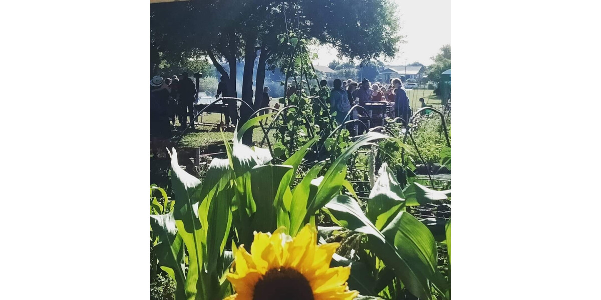 Roimata food commons | discoverywall.nz