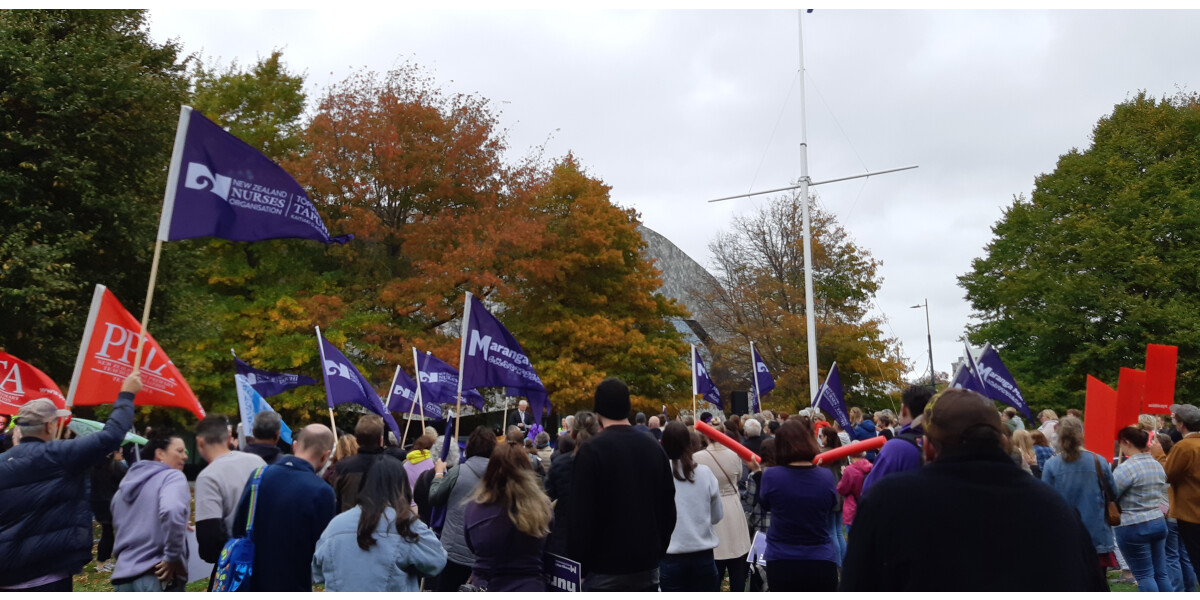 Speeches at a New Zealand Nurses Organisation rally | discoverywall.nz