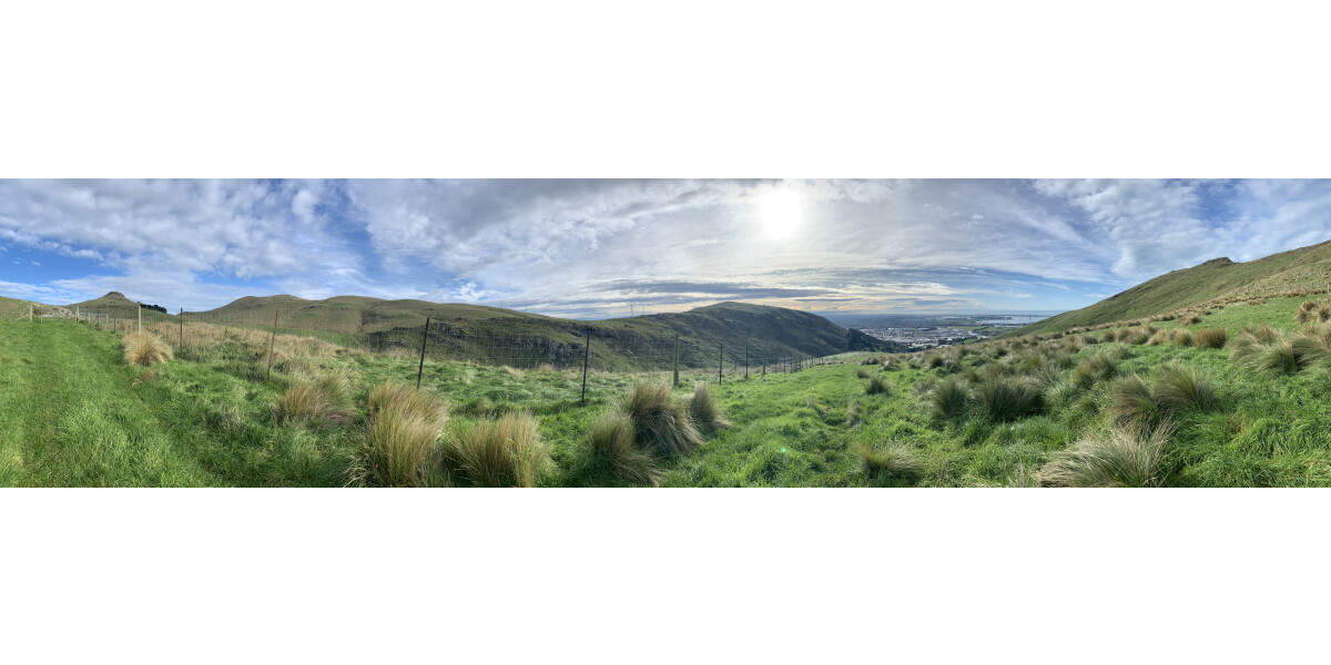 Port Hills views | discoverywall.nz