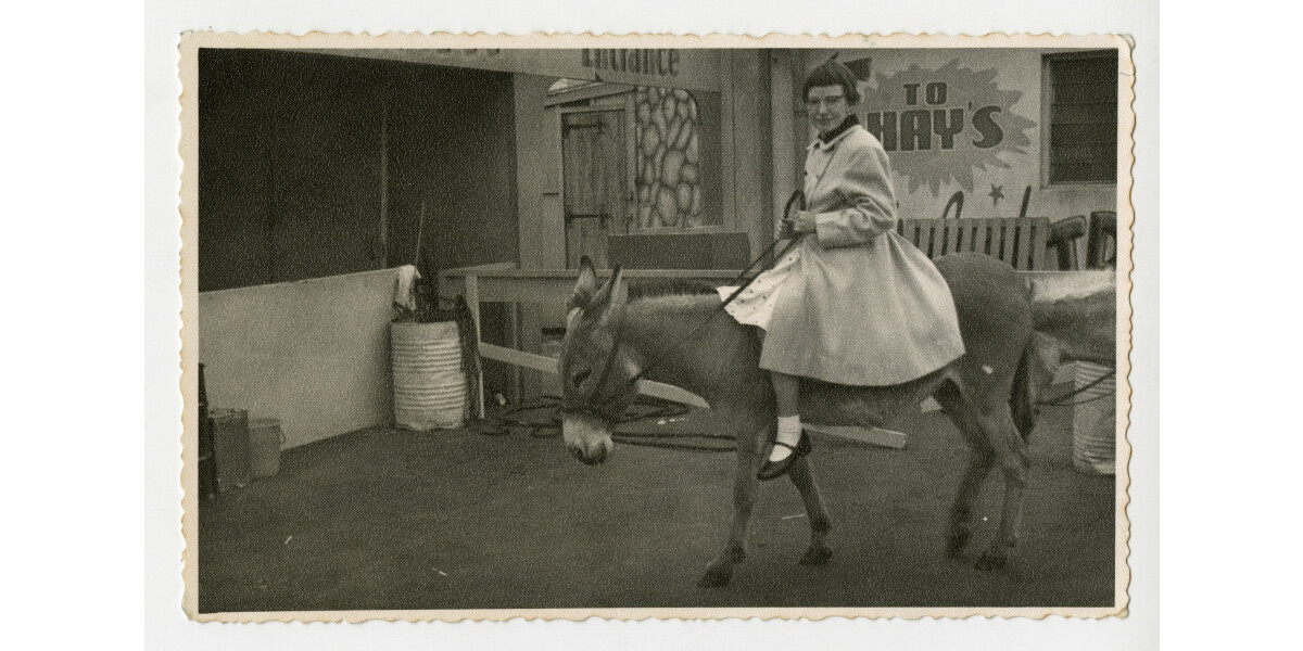 Donkey Ride on Hays Roof | discoverywall.nz