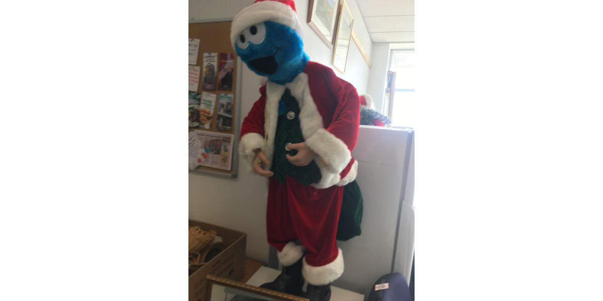 Hybrid Christmas creature at City Mission Op-shop | discoverywall.nz