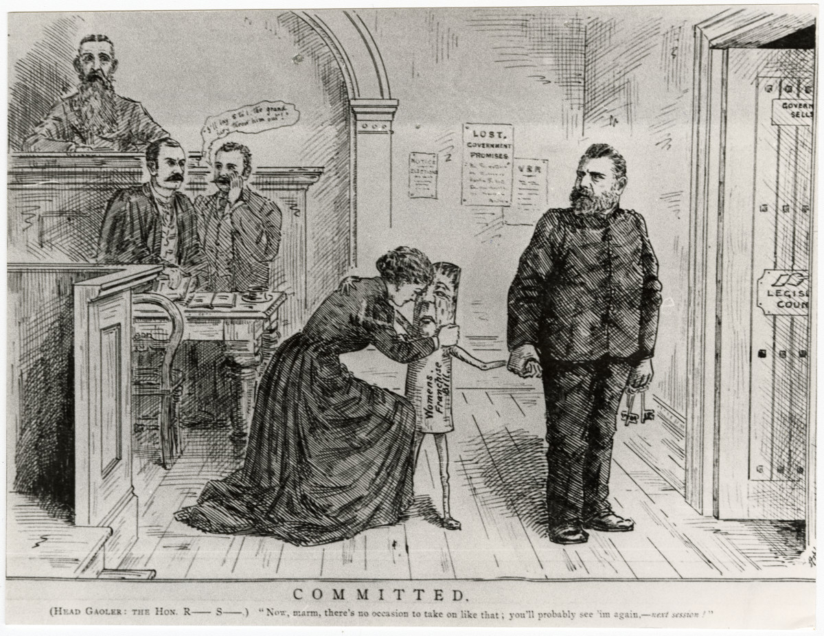 Enfranchisement cartoon | discoverywall.nz