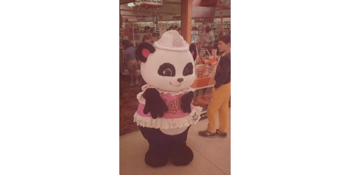 Pammy Panda | discoverywall.nz