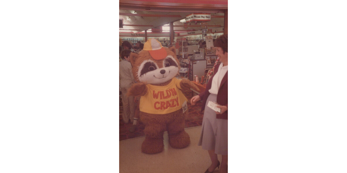 Rick Raccoon | discoverywall.nz