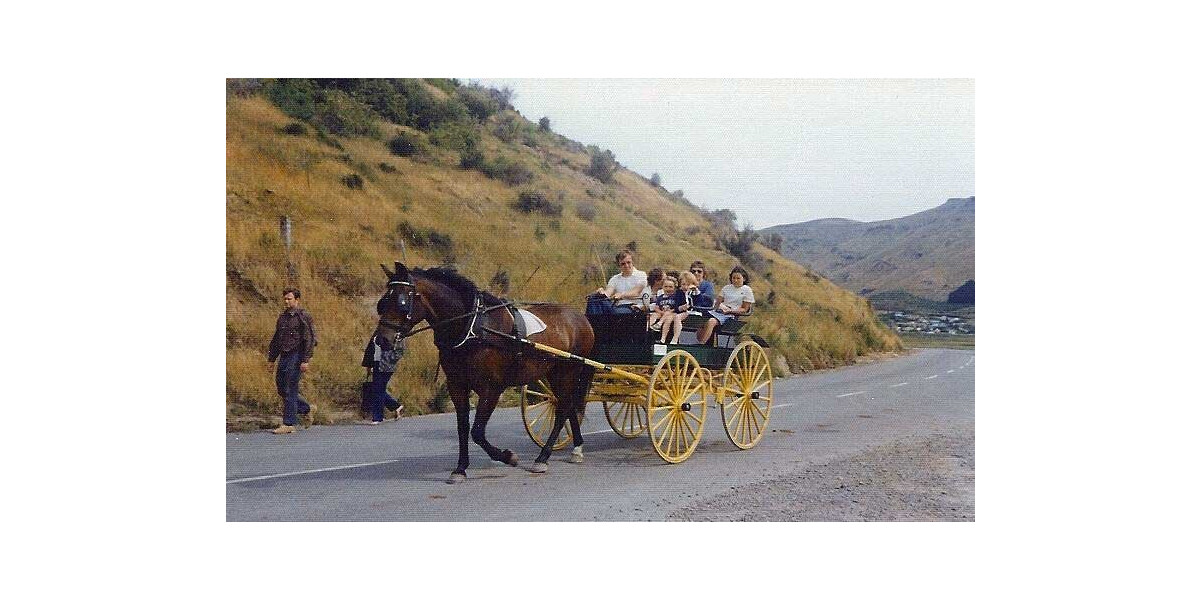 Cart Ride, Ferrymead | discoverywall.nz