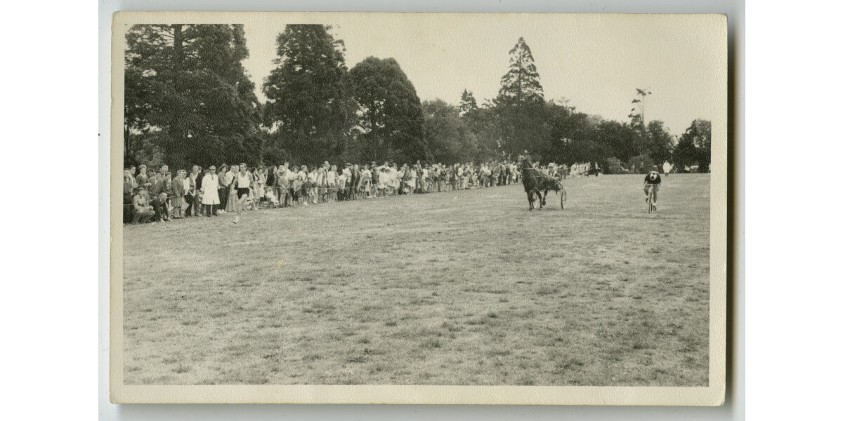 3 Way Race | discoverywall.nz