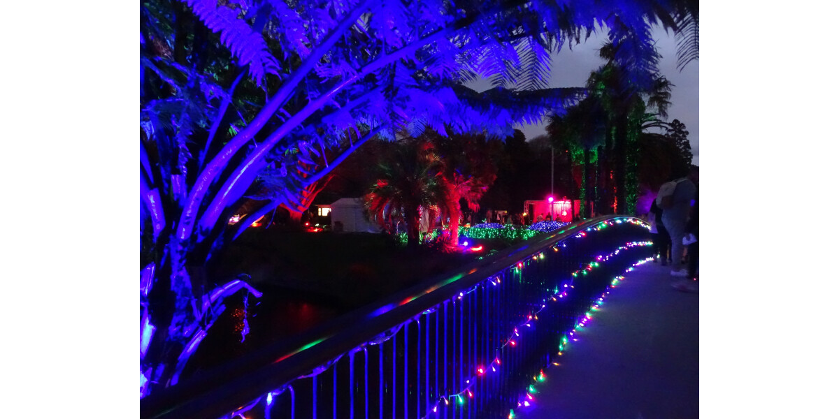Illuminate Light Show in the Botanical Gardens | discoverywall.nz