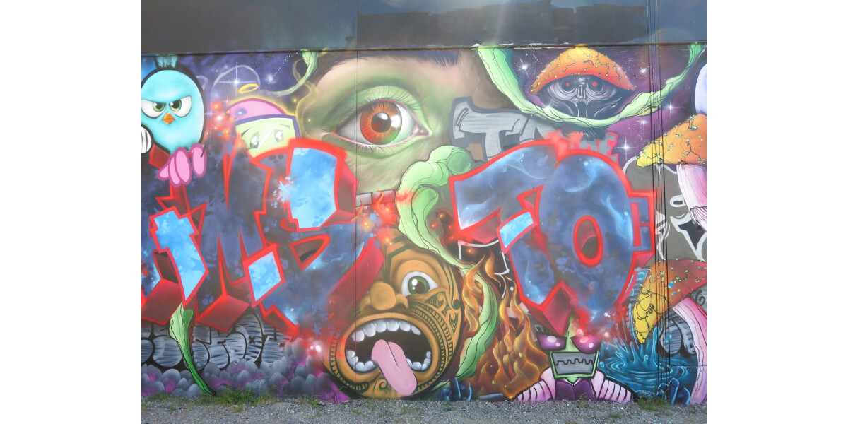 Art by DTR Crew and FSA Crew | discoverywall.nz
