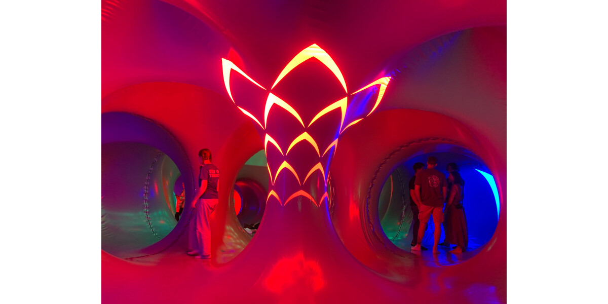 Arborealism Luminarium | discoverywall.nz