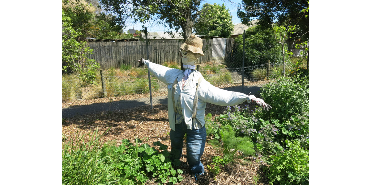 Scarecrow | discoverywall.nz