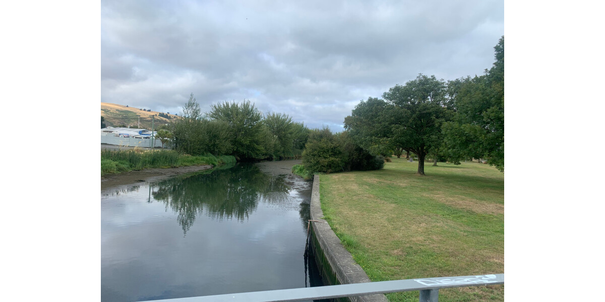 Heathcote River at Woolston Loop | discoverywall.nz