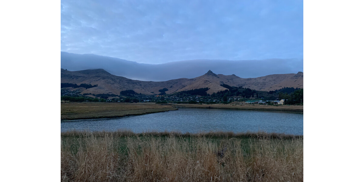 Matuku Lakes in Ferrymead | discoverywall.nz