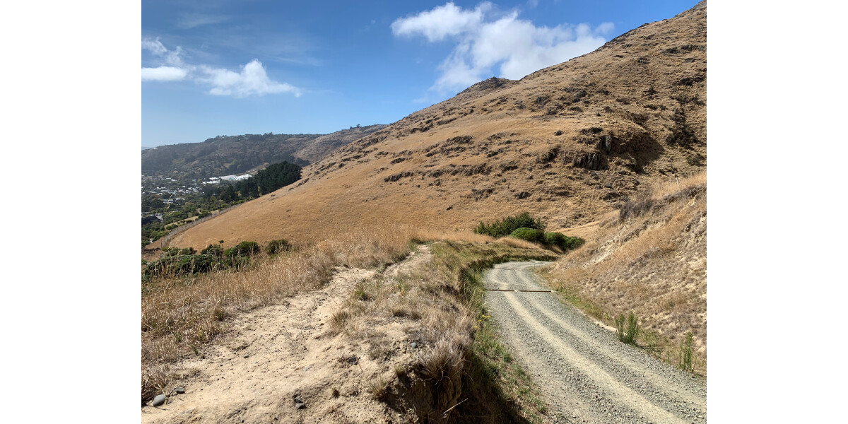 Bridle Path Walk | discoverywall.nz