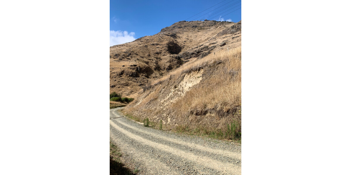 Bridle Path Walk | discoverywall.nz