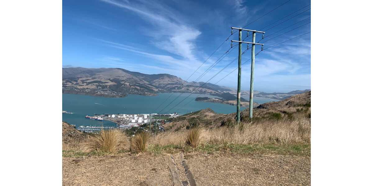Lyttelton from Bridle Path Walk | discoverywall.nz