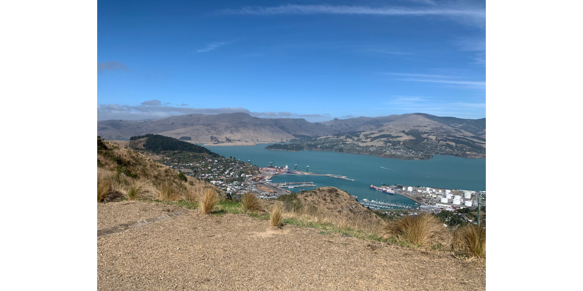 Lyttelton from Bridle Path Walk | discoverywall.nz