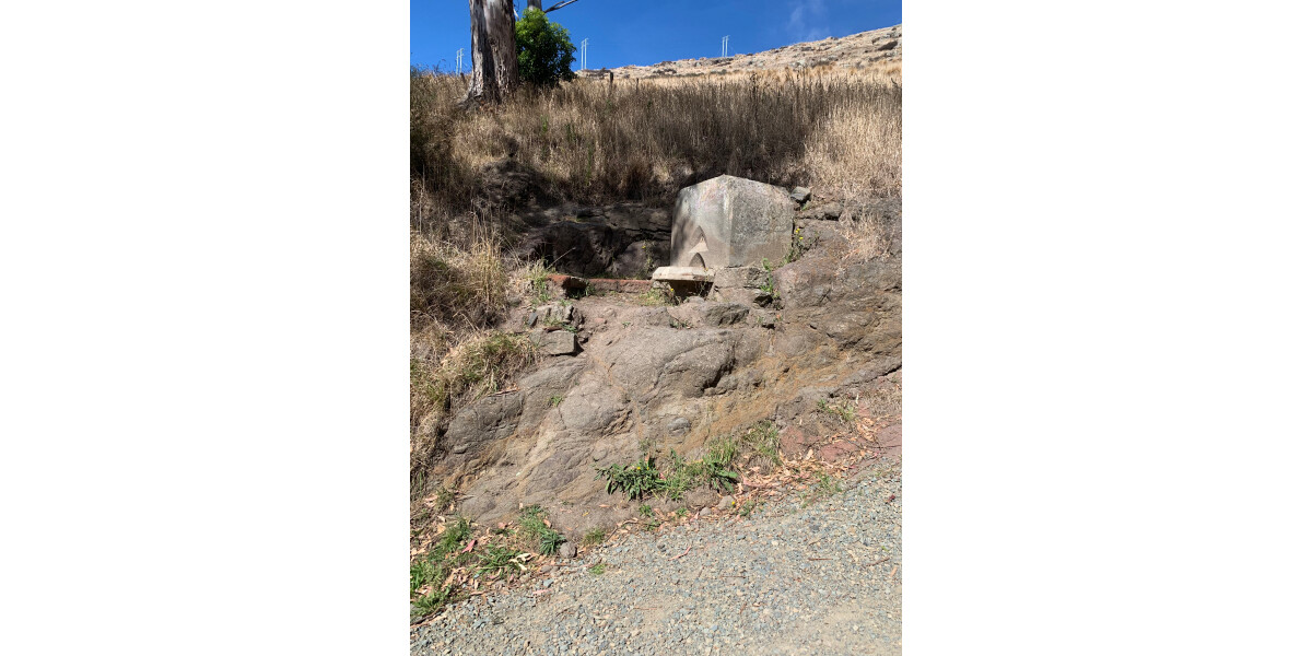 Bridle Path Walk trough | discoverywall.nz