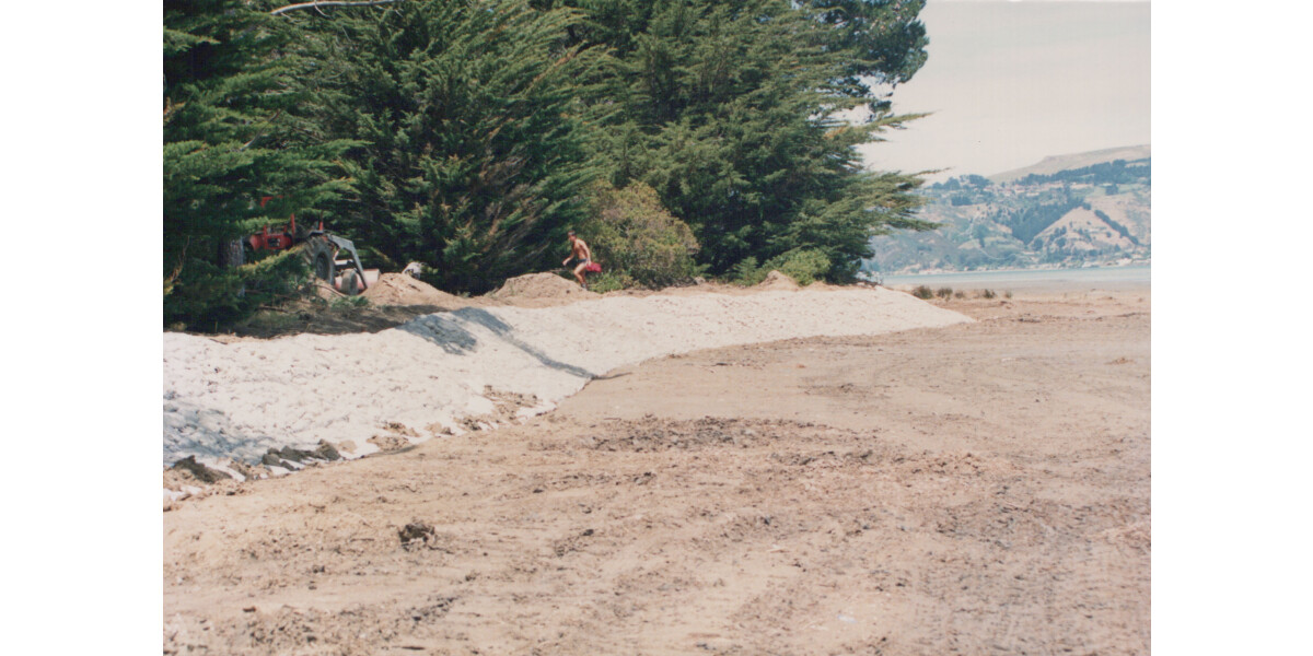 Constructing sand dune protection | discoverywall.nz