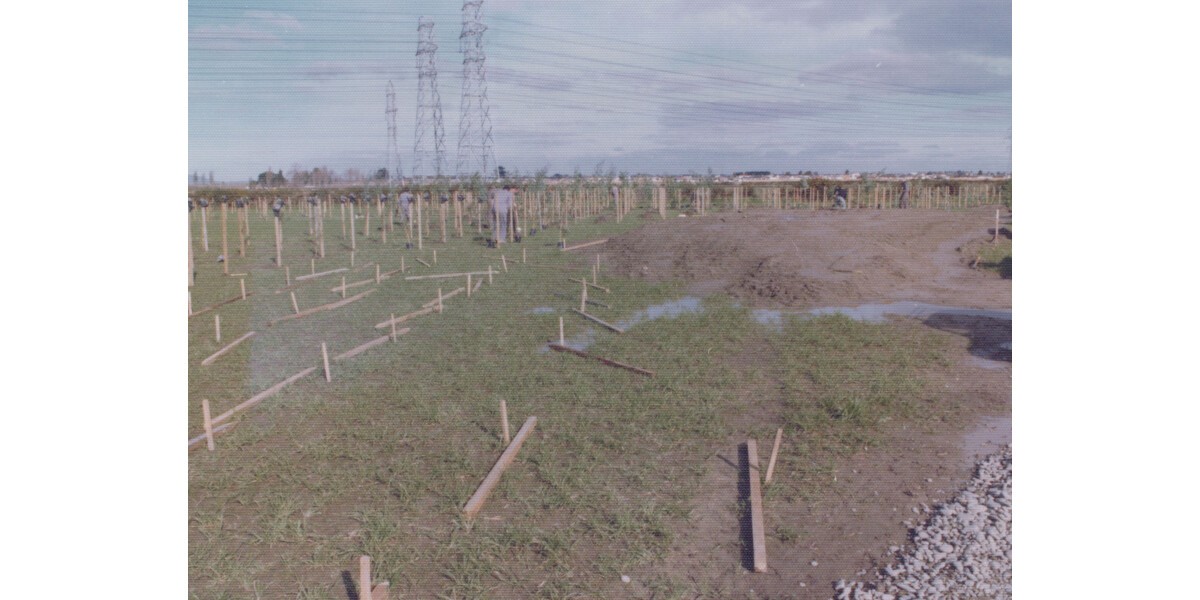 Establishing Avonhead Cemetery | discoverywall.nz