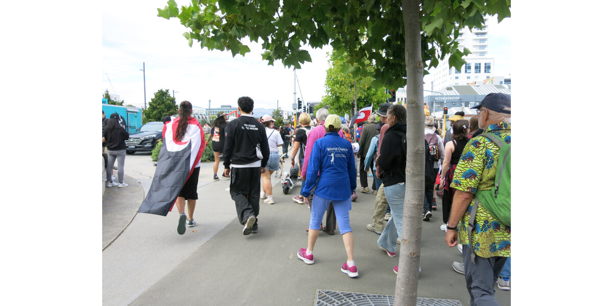 Waitangi Day hikoi starts | discoverywall.nz