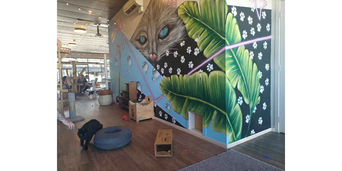 Mural at the Catnap Cafe | discoverywall.nz